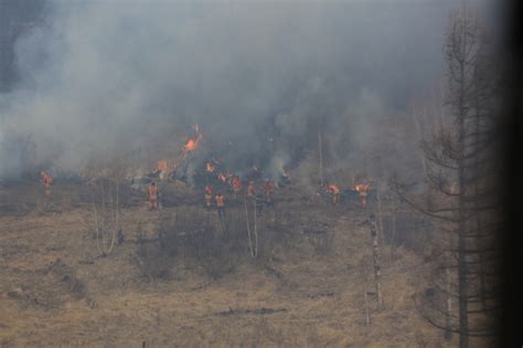 ОБЕГ Сэлэнгэ аймгийн Ерөө Түшиг суманд гарсан ой хээрийн түймрийг унтраахаар ажиллаж байна