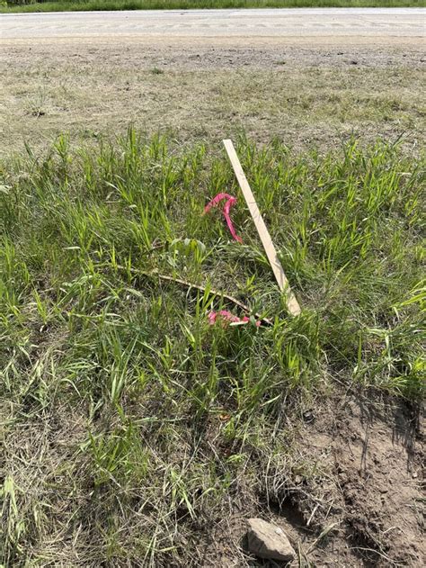 The Sheer Idiocy Of Some Operators… R Surveying