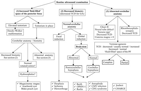 Posterior Fossa Syndrome Prognosis Mapasgmaes