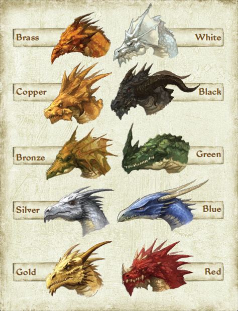 Create A Dragonborn Colors Tier List TierMaker