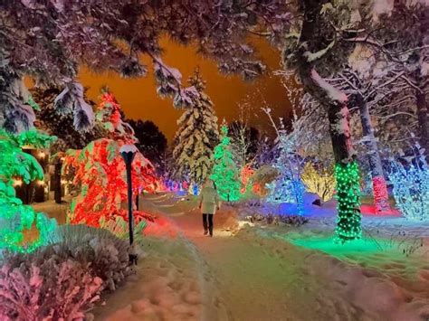 35 Best And Fun Things To Do In Flagstaff Az The Tourist Checklist
