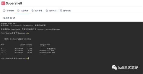 supershell 一款牛叉闪闪的工具 csdn博客