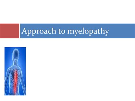 Approach To Myelopathy Pptx