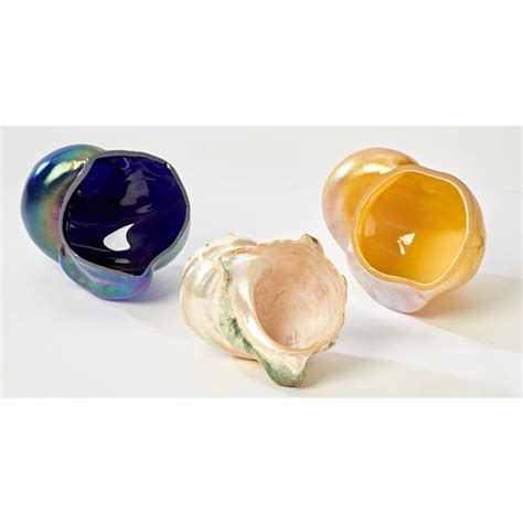 Mid 20th Century Decorative Conch Sea Shells Signed Carl Radke Set Of