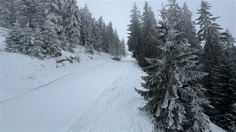 Turiștii pot schia pe șase pârtii deschise la Straja Radio România