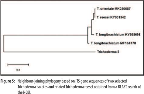 figure 1 from investigation of anthraquinone producing trichoderma