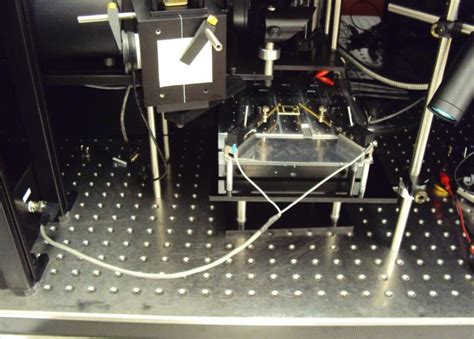 8 Setup For Cell Measurements Download Scientific Diagram