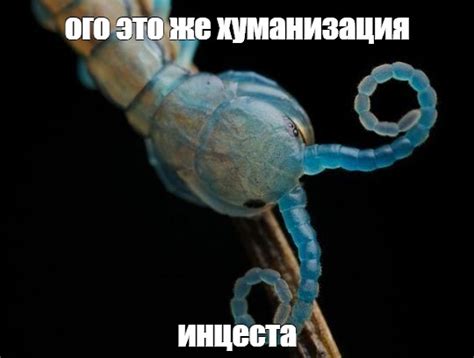Создать мем Scolopendra голубой скорпион Creepy Crawlies Картинки