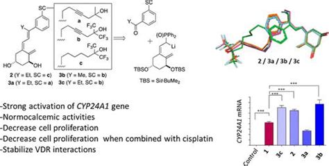 1α25 二羟基维生素 D3（骨化三醇）高活性 Des C 环和芳香族 D 环类似物的进一步研究：侧链的精制journal Of
