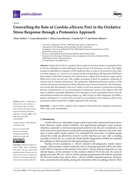 Pdf Unravelling The Role Of Candida Albicans Prn1 In The Oxidative