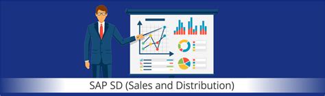 SAP SD Sales And Distribution OnLine Training SEED SAP Training Academy