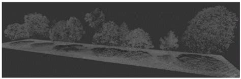 Tree Point Cloud Three Dimensional Reconstruction Method Based On Space Colonizing Algorithm