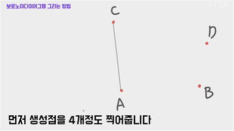 🫐보로노이다이어그램 그리는 핵심만 설명 매우~간단🫐 Youtube