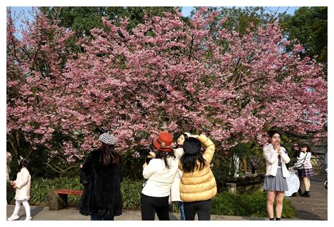 Photofans