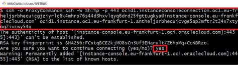 How To Create A Serial Console Connection To Your Vm Db System Database Heartbeat