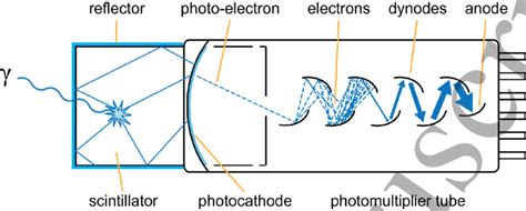 Schematic Cross Section Of A Scintillation Crystal Coupled To A