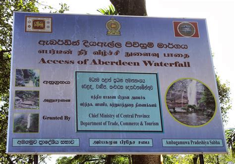 අන්දරේගේ සවාරි