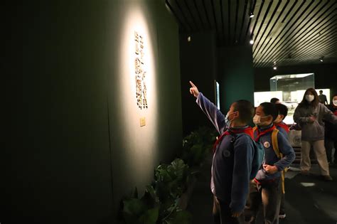 博物馆之旅 2022 复旦大学附属徐汇实验学校