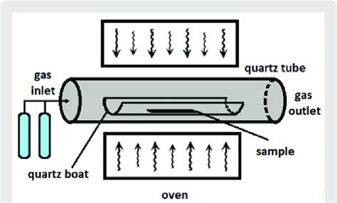 Schematic Representation Of The Cvd Apparatus Download Scientific
