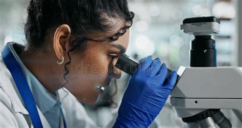 Woman Microscope And Sample Analysis In Lab Research And Live Cell