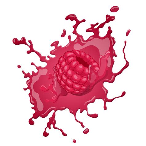 Raspberry Splash Cartoon Vector Illustration 17415348 Vector Art At