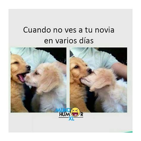 Cuando no ves a tu novia en varios días Memes