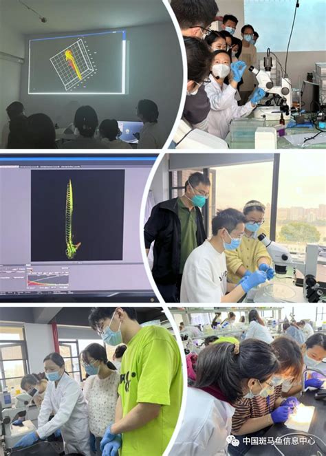 水生所举办全国斑马鱼技术培训会议 中国科学院水生生物研究所