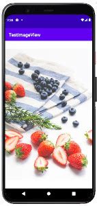 Android Kotlin 画像を ImageView で表示させる つの方法