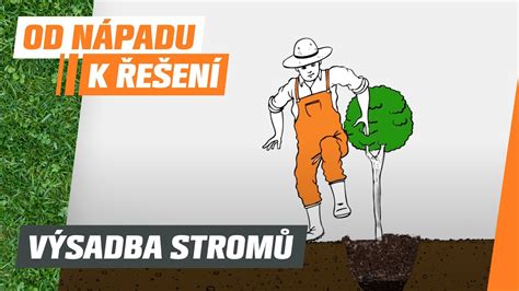 Výsadba Stromů Youtube