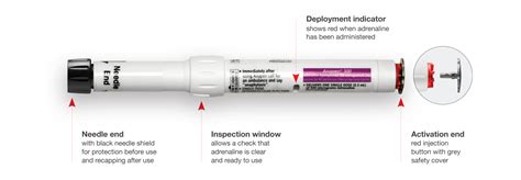 Anapen Weight Based Dosing
