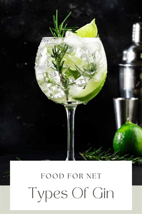 9 Types Of Gin Plus Exciting Gin Variations Food For Net