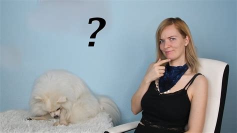 Warum Lecken Hunde Ihren Intimbereich Youtube