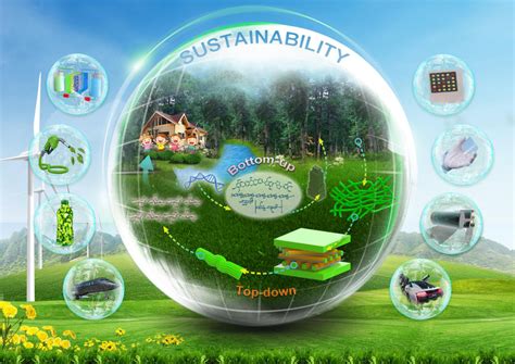 Summary Figure The Figure Shows An Integration Of Top Down And Download Scientific Diagram