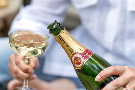 Inschrijving Bold Bubbel Is Geopend Paula Terpstra