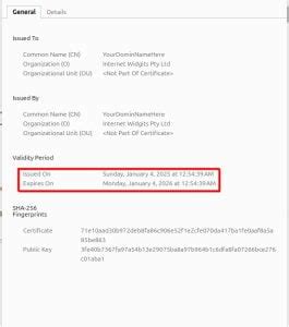 Self Signed SSL Certificate For Nginx In Ubuntu