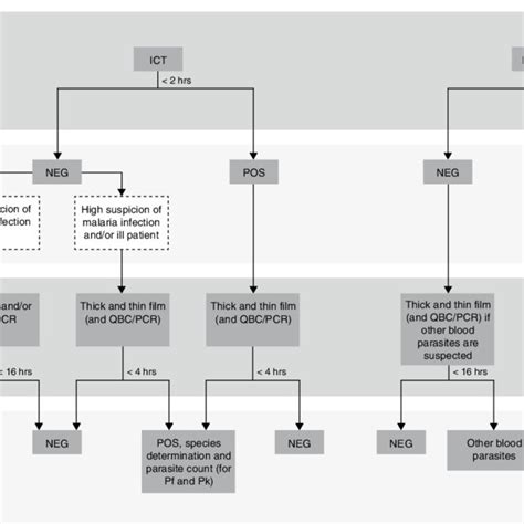 Algorithm With Requirements For The Laboratory Diagnosis Of Malaria