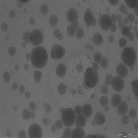 Uv Visible Absorption Spectra Of Selenium At Different Time Intervals Download Scientific