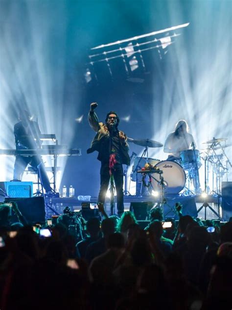 Zoé Tendrá Su único Show Del Año En El Vive Latino 2025 Cassini Mx