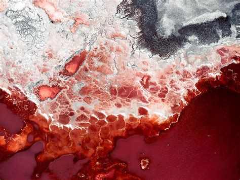 Salt Structures Behance