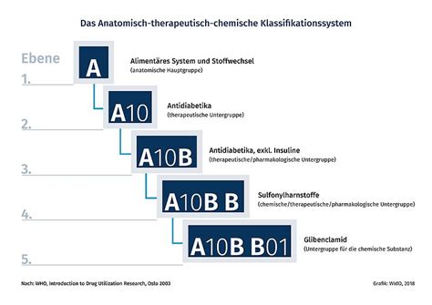 Atc Klassifikation Analytik Wido Wissenschaftliches Institut Der Aok