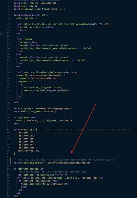 Lsp Eslint Finds Eslintrcjs In Current Directory But Does Not