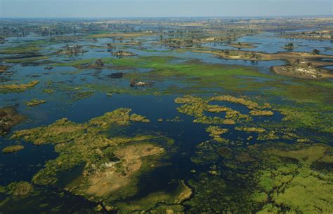 Land And Water Safari Okavango Delta Botswana Journey Beyond