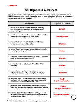 Cell Organelles Worksheet By A Thom Ic Science Tpt Worksheets Library