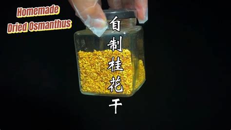 传统古法自制桂花干，不晒不烤，颜色金黄不发黑香味浓，快学起来【米淇小厨】 Youtube
