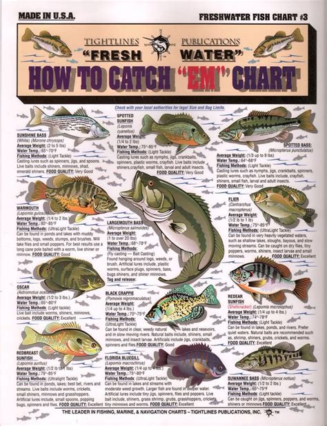 Fish Chart With Info On How To Catch Them Hunting Pinterest