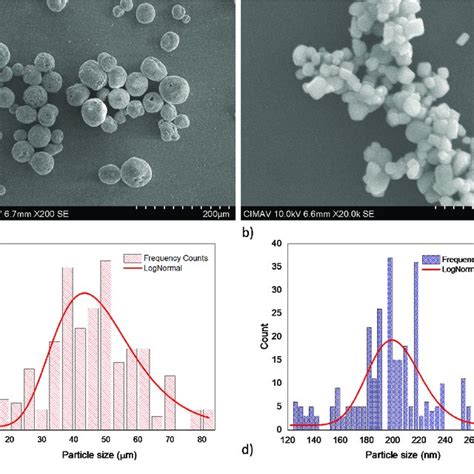 Primary Powders Sem Micrographs And The Respective Particle Size
