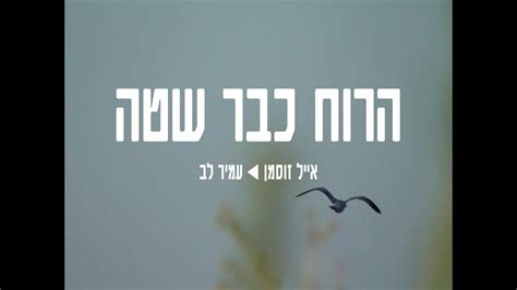 Daily Discovery Eyal Zusman And Amir Lev אייל זוסמן ועמיר לב שנות אור