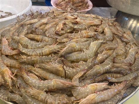 الشرقية صيادون لـعكاظ بداية موسم الروبيان مُبشرة أخبار السعودية صحيفة عكاظ