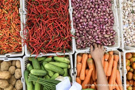 Update Harga Pangan Hari Ini Harga Beras Bawang Hingga Cabai Turun