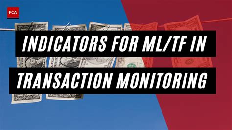 Preserving Integrity Unraveling Suspicious Transaction Indicators